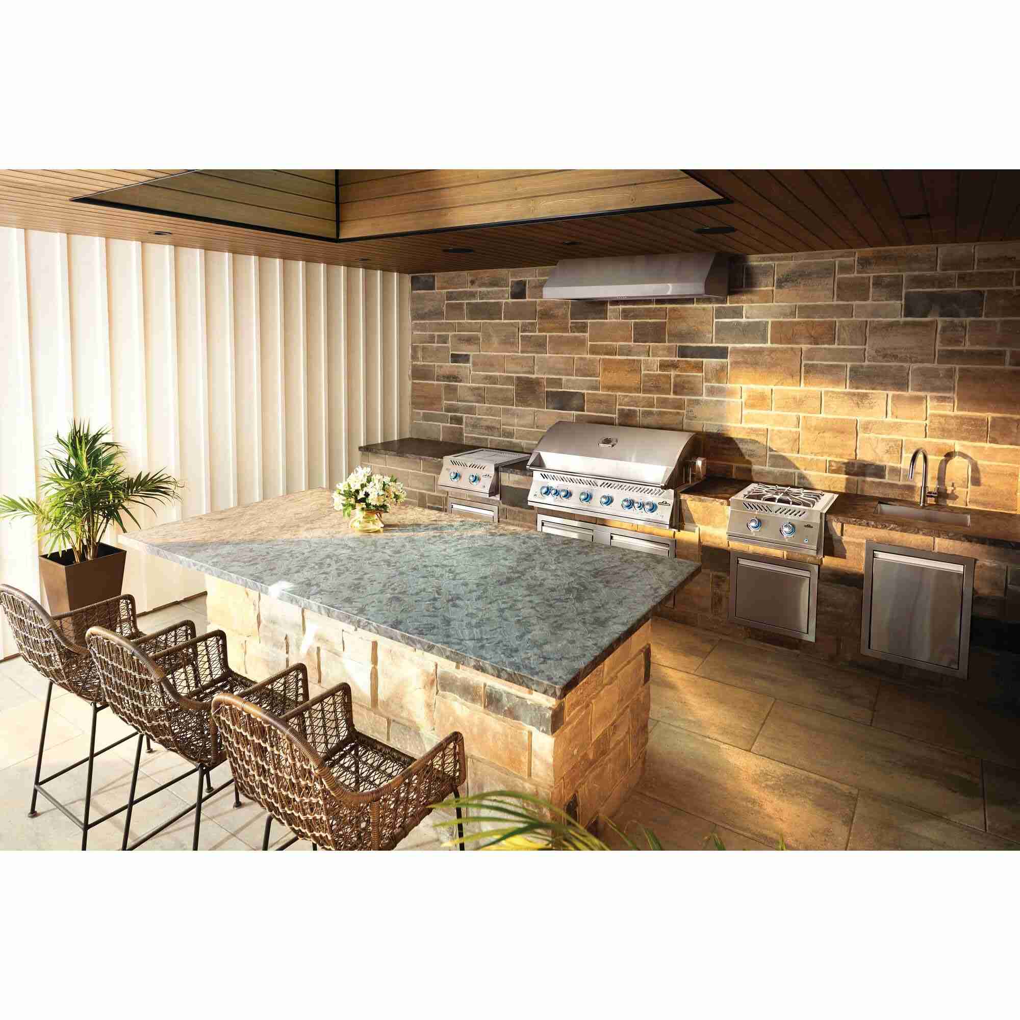 Napoleon Built-In 700 Series 44" with Dual Infrared Rear Burners ...